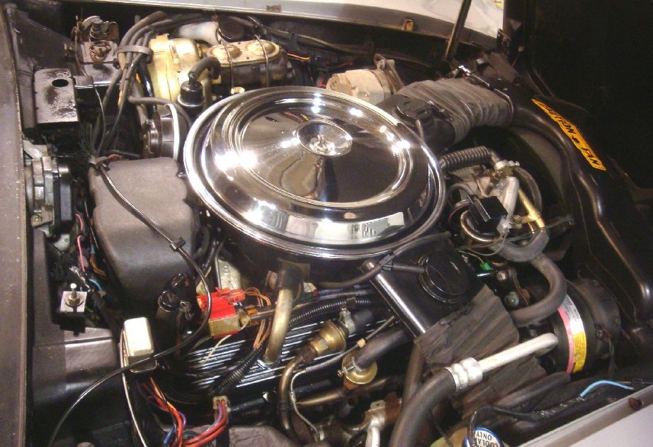 info on an 81 Corvette - Page 2 - CorvetteForum - Chevrolet Corvette ...