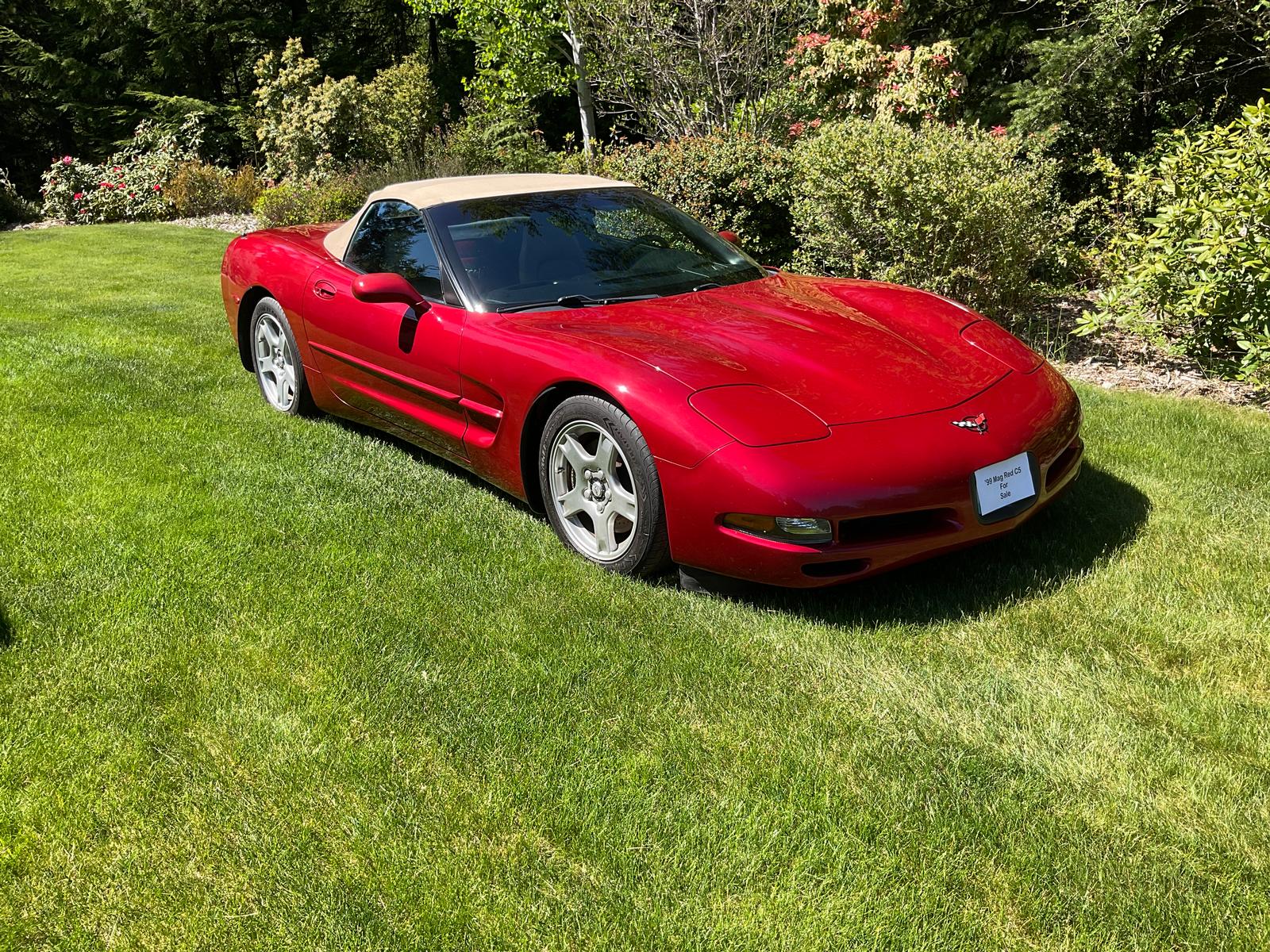 c5 corvettes for sale